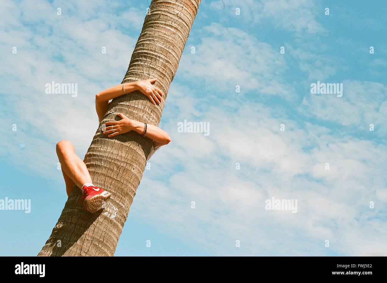 Woman climbing tree hi-res stock photography and images - Alamy