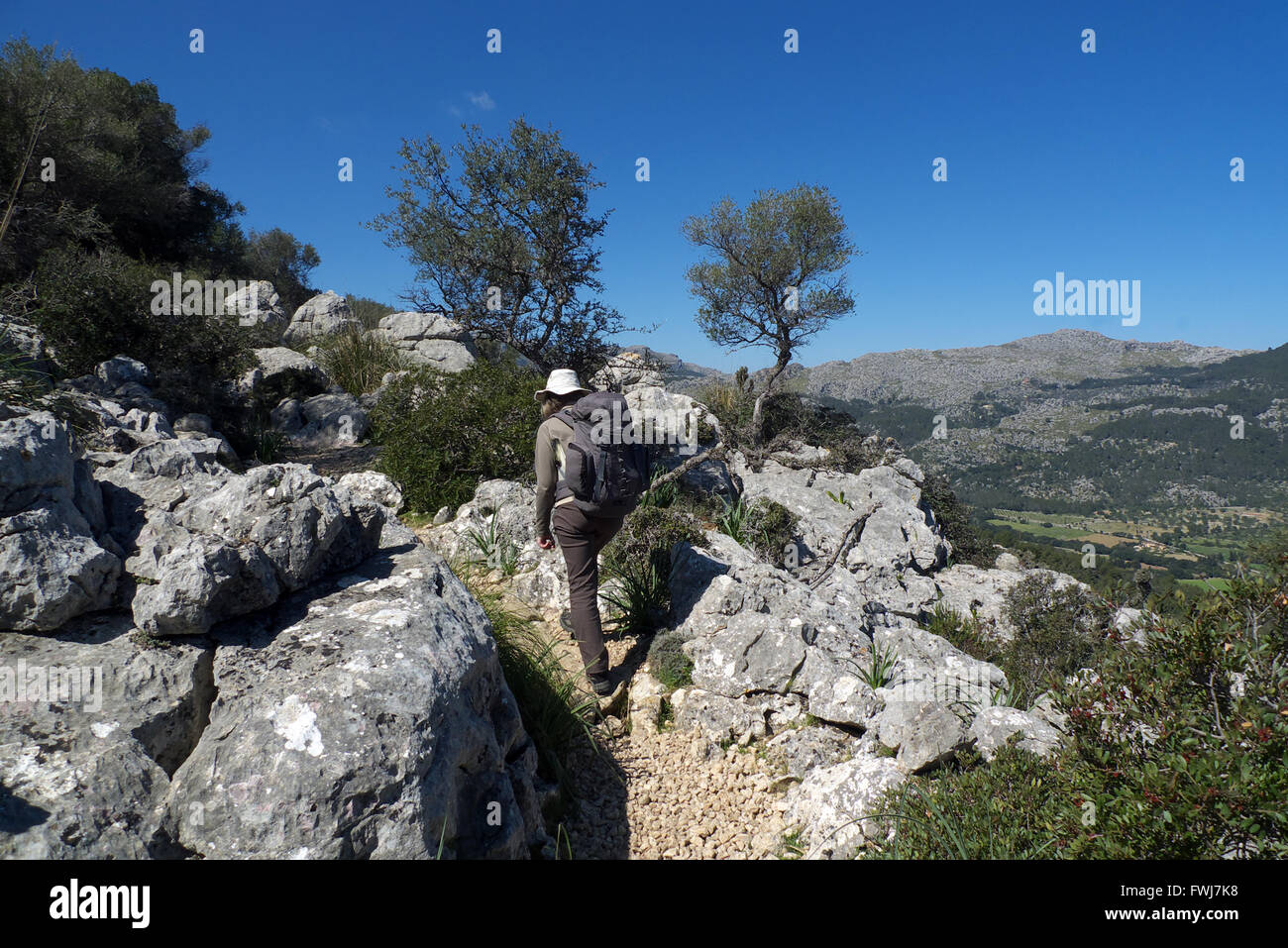 Walking up the mule track above Ca'n Hugeut to Fartaritz Gran farm ...