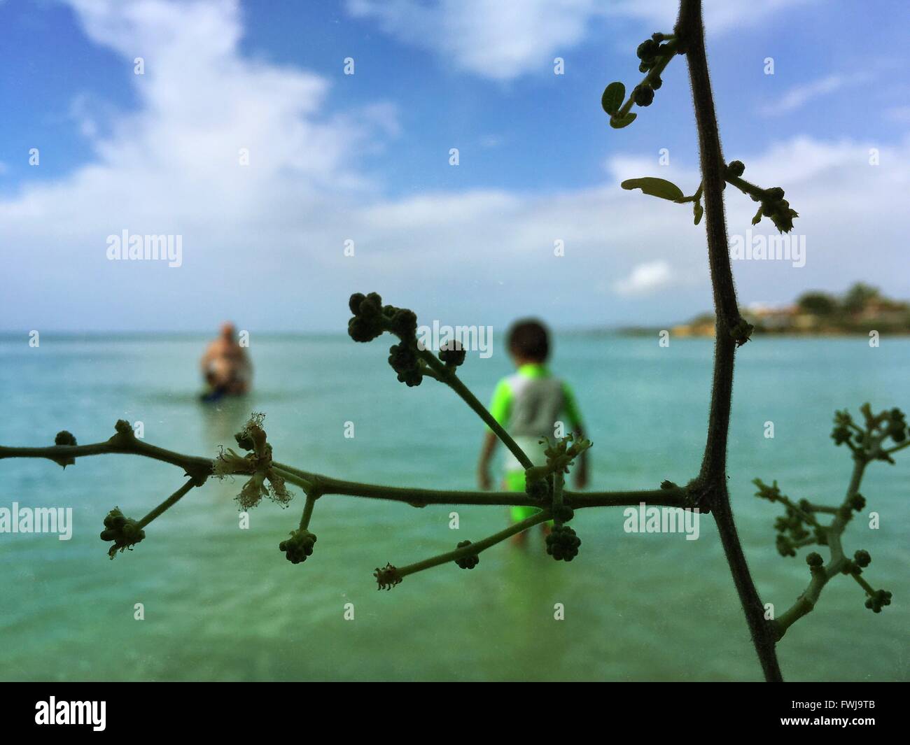 Plant for people hi-res stock photography and images - Alamy