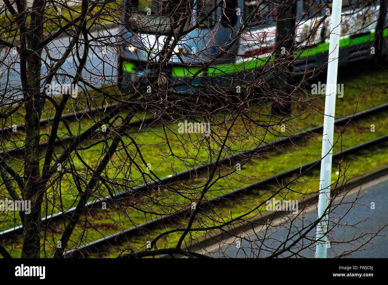 Train On Railroad Tracks Seen Through Bare Trees Stock Photo - Alamy