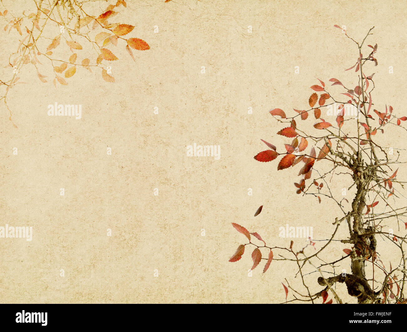 Old antique vintage paper background Stock Photo - Alamy