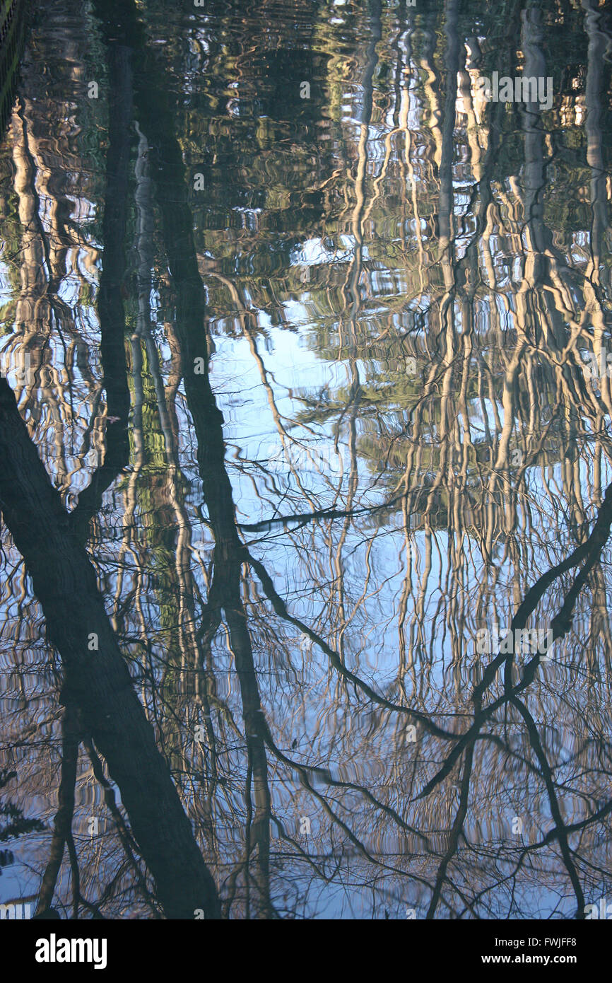 Reflection in river hi-res stock photography and images - Alamy