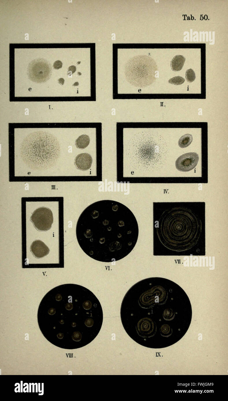 The 'Atlas and Essentials of Bacteriology' provides detailed diagrams ...