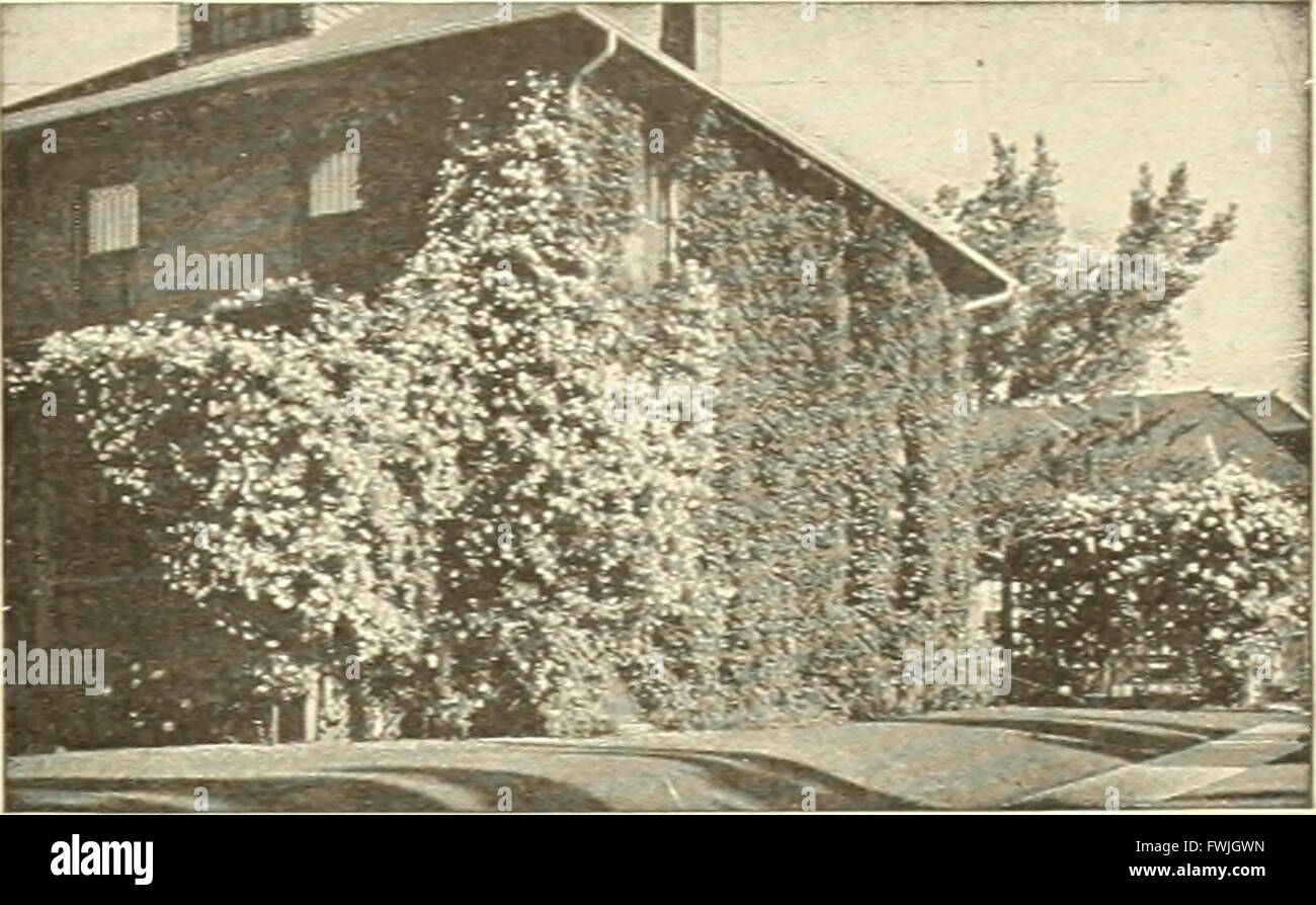 *Autumn 1947* captures the mood and events of the year, focusing on ...