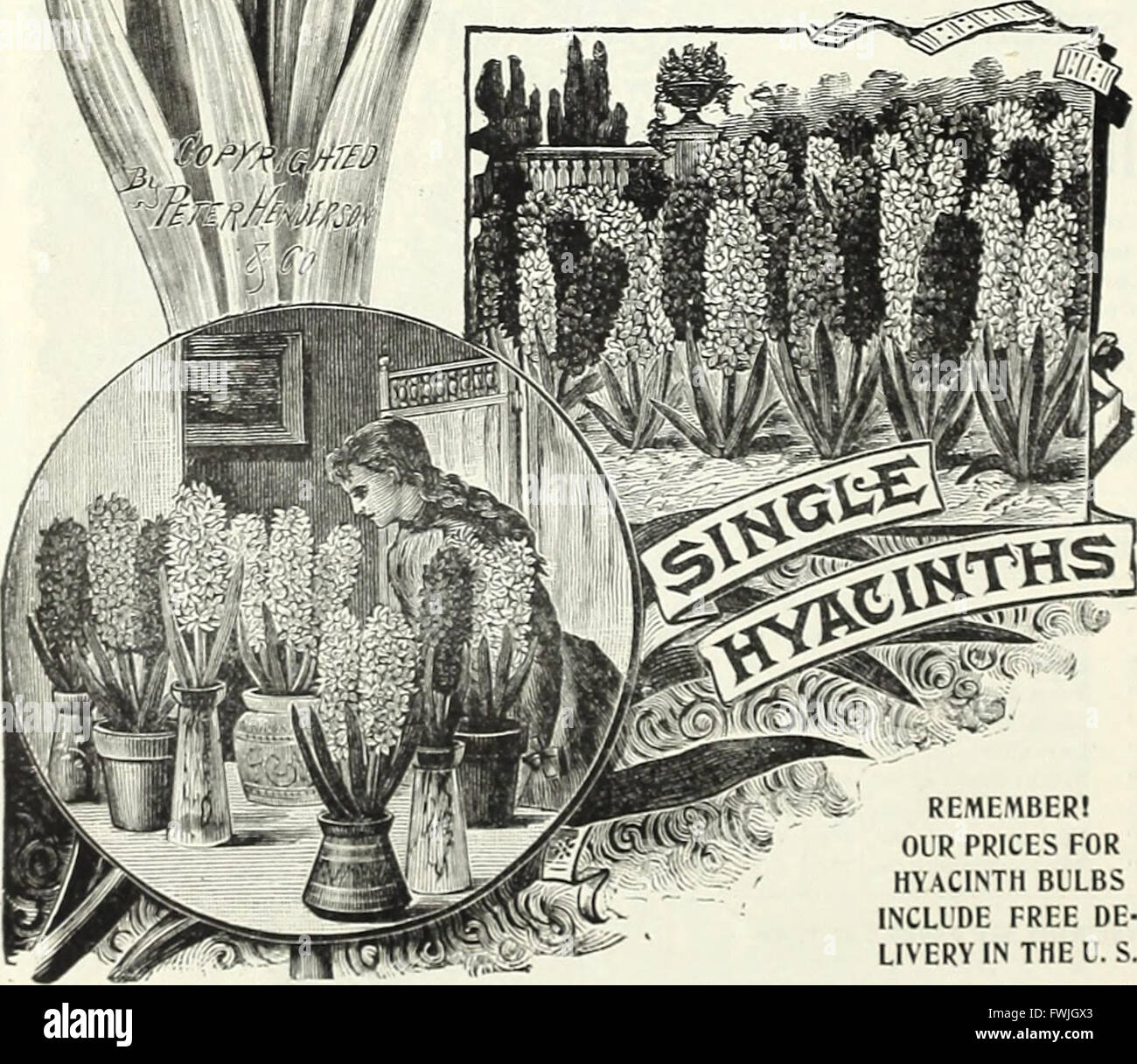 A 1901 catalog showcasing various autumn planting bulbs, including ...