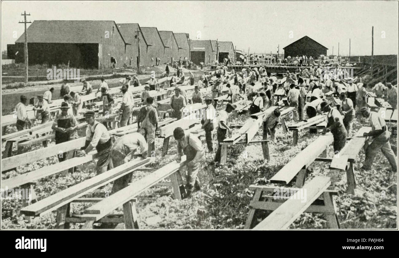 A comprehensive study of American forestry practices and developments ...