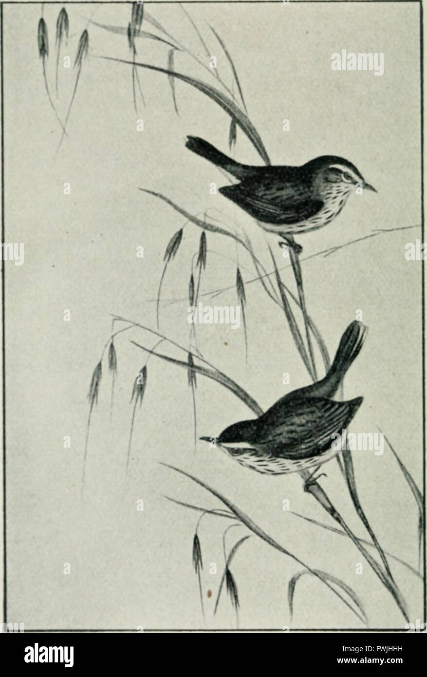This book provides a guide to the bird species of Australia, detailing ...