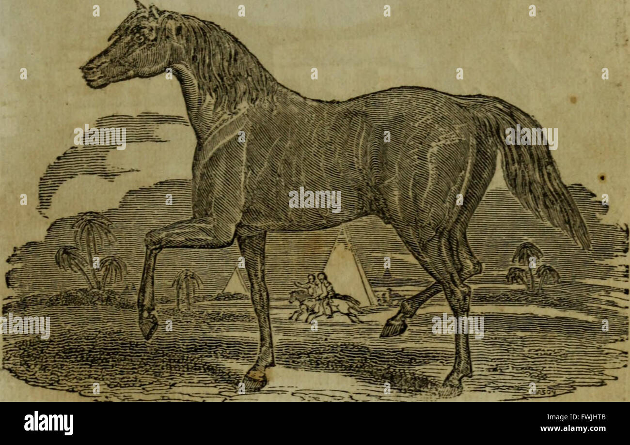 Knowledge compendium hi-res stock photography and images - Alamy