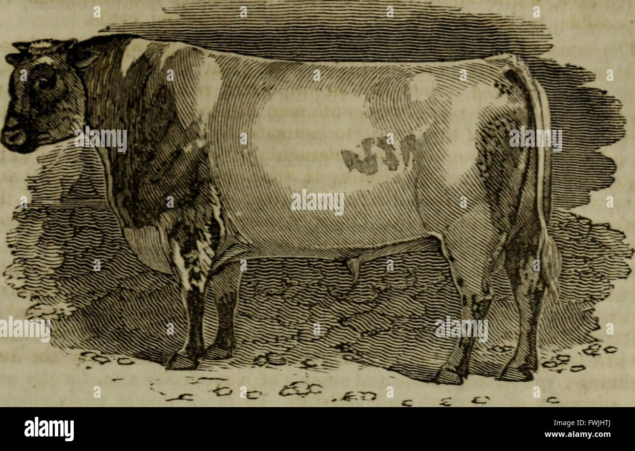This encyclopedia offers a practical overview of various subjects ...