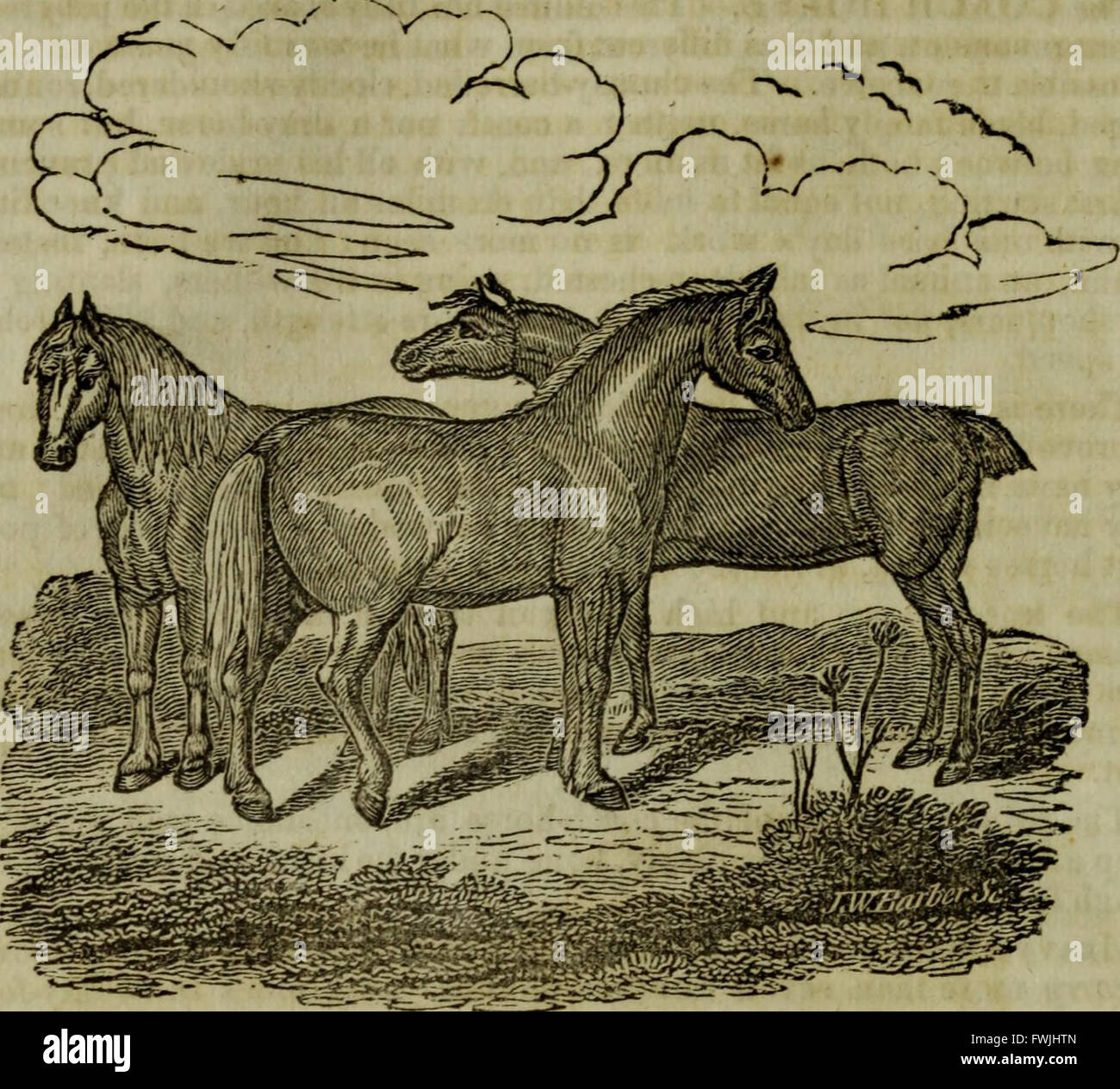 A new family encyclopedia, or, Compendium of universal knowledge ...