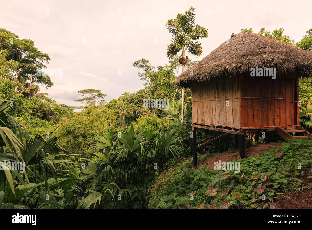 Bamboo house in ecuador hi-res stock photography and images - Alamy