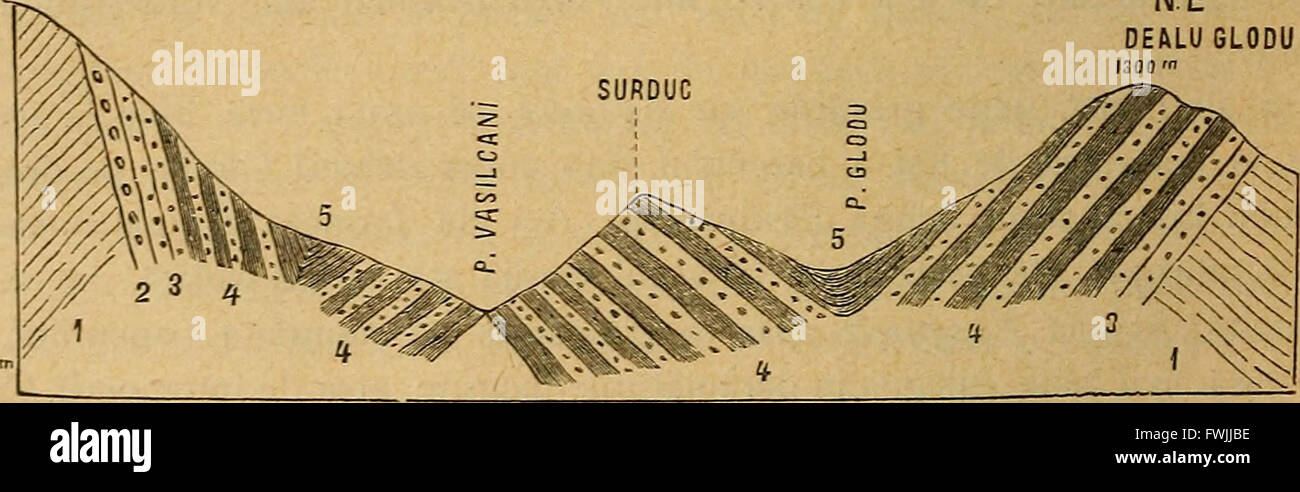 The Bulletin of the Society of Sciences of Bucharest (1892-1911) was a ...