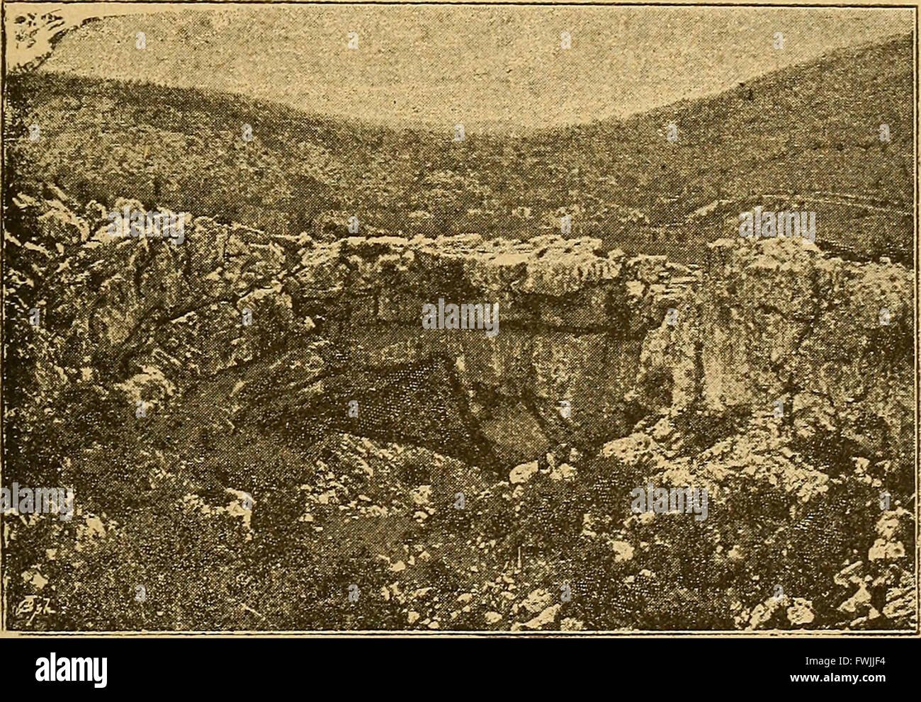 The 'Bulletin of the Society of Sciences in Bucharest' (1892-1911) is a ...
