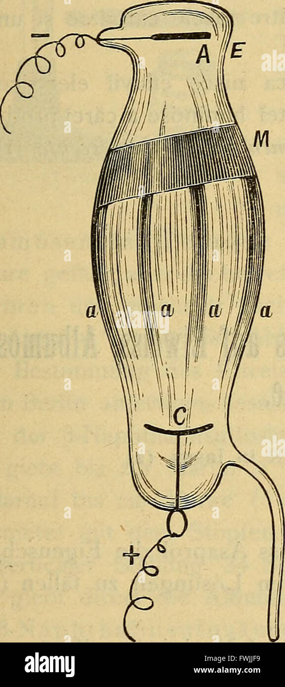 The 'Buletinul Societatii de Stiinte din Bucuresti' (1892-1911) is a ...