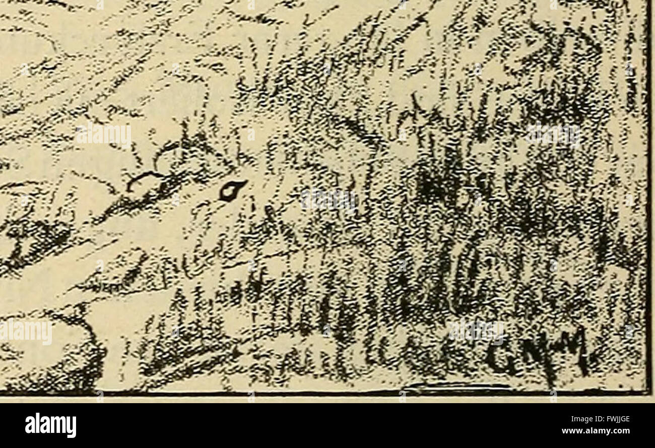 A series of scientific bulletins published between 1892 and 1911 by the ...