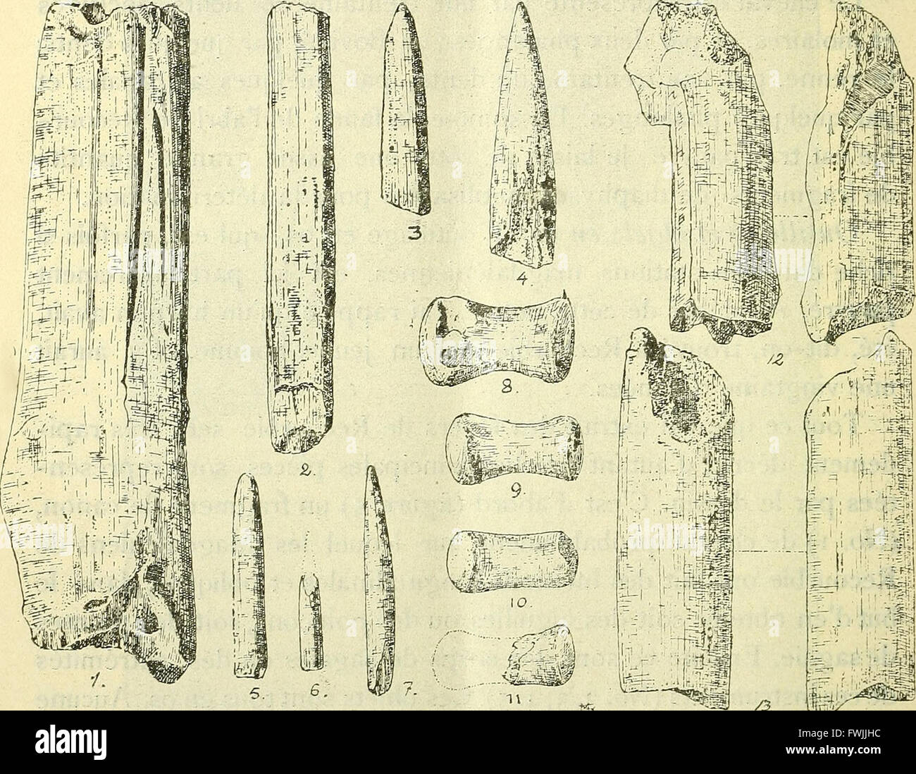 This Romanian scientific bulletin, published from 1911 to 1916 ...