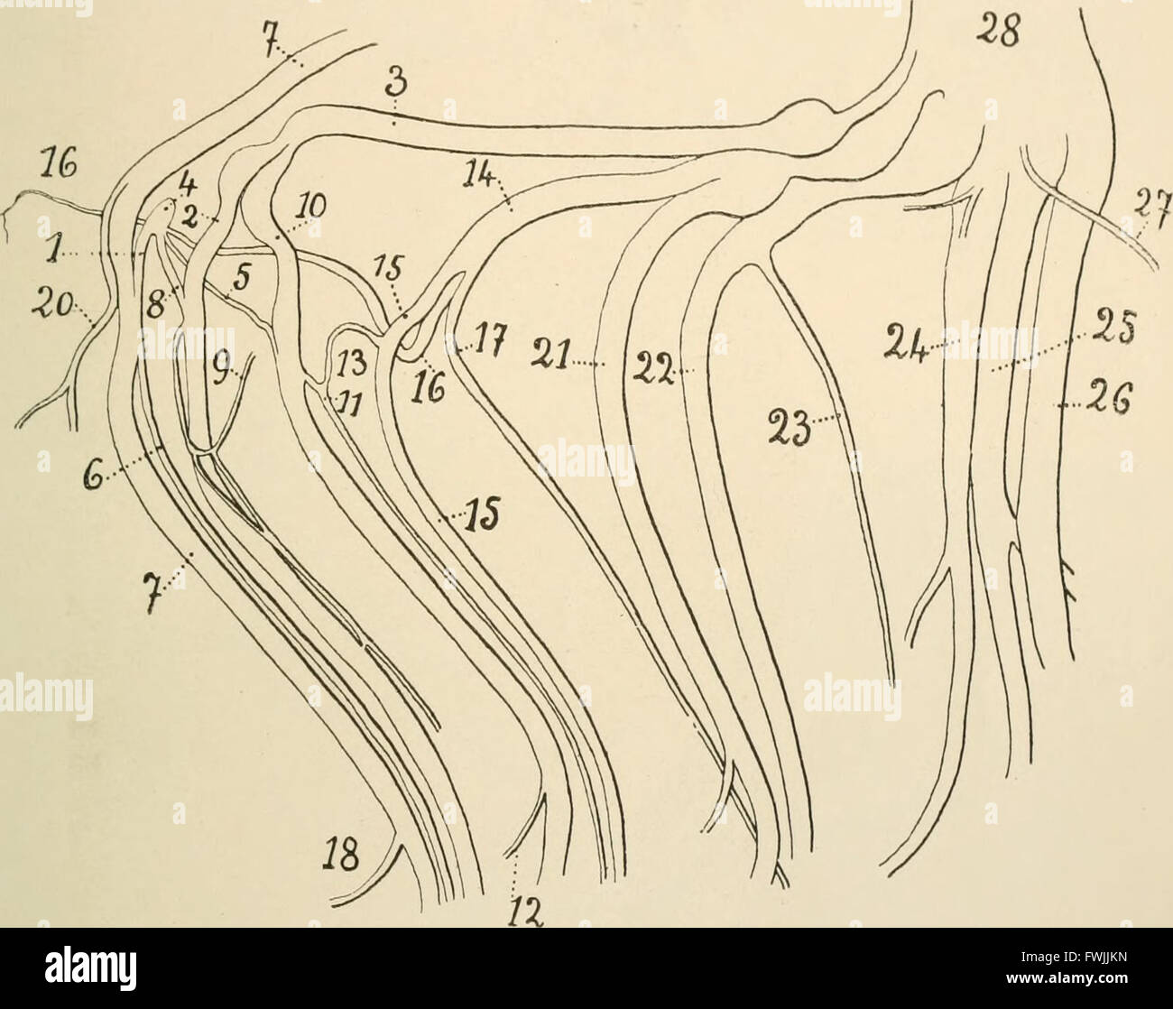 Ciine hi-res stock photography and images - Alamy