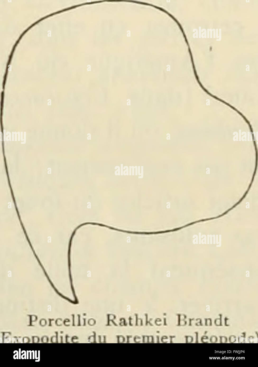 The 1899 edition of the Bulletin from the Society of Sciences in ...