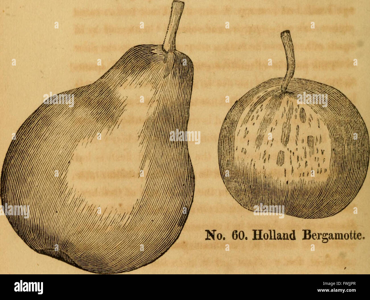 Map of orchards hi-res stock photography and images - Alamy