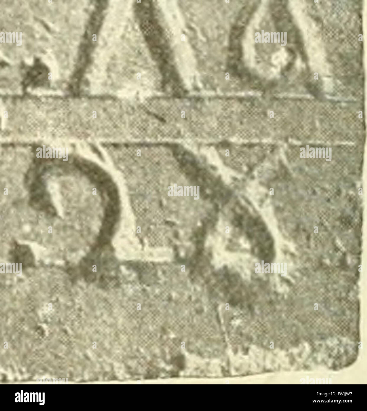 The 'Buletinul Societății de câine' from 1911, also known as the ...