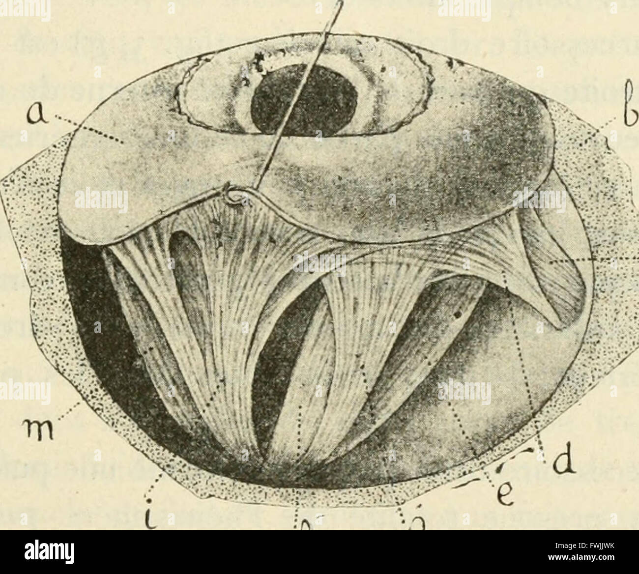 Ciine hi-res stock photography and images - Alamy