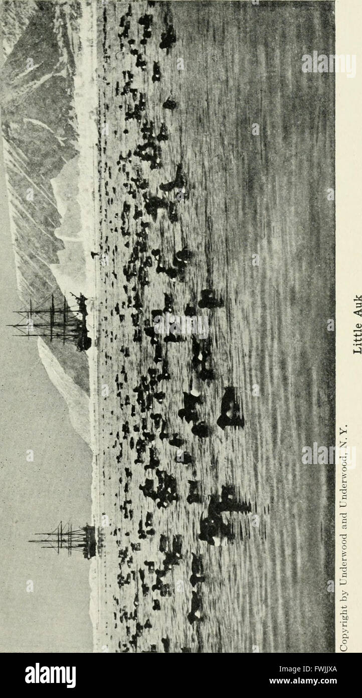 This 1911 account details a voyage to the Arctic aboard the whaling ...
