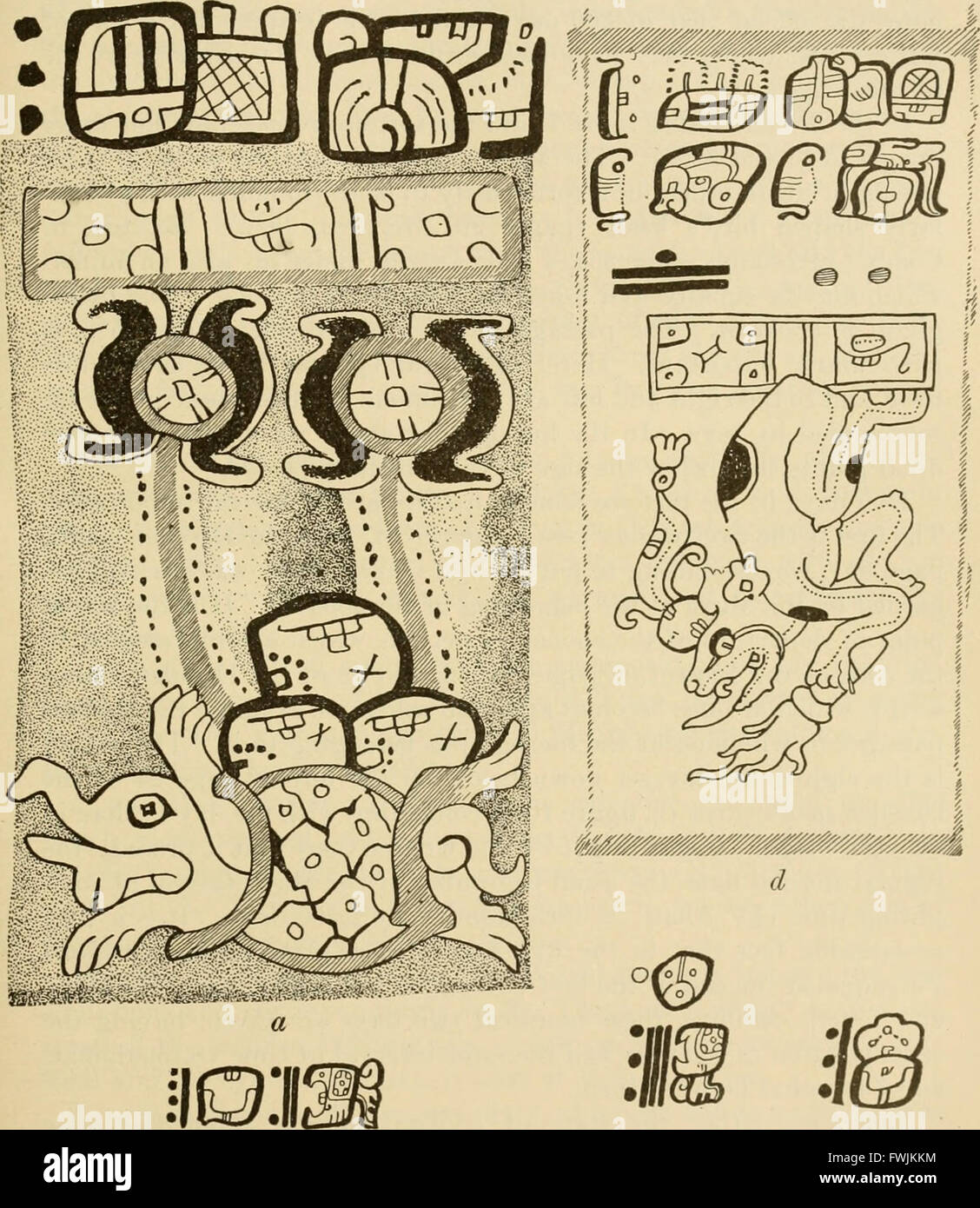 This 1904 scientific bulletin includes a range of research findings ...