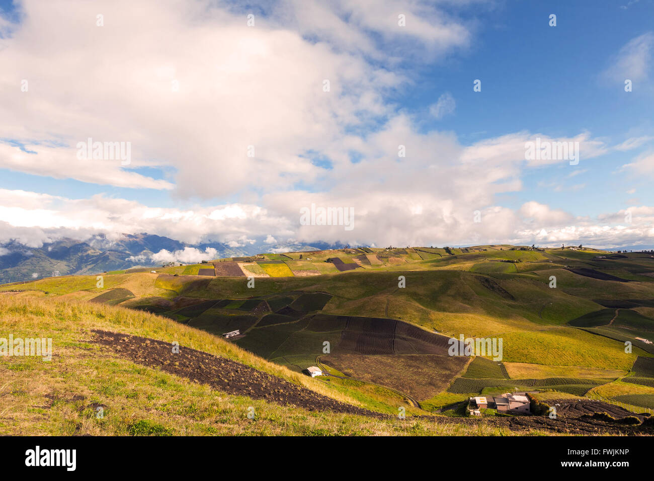 Aerial View Of Farming Terraces In Ecuador, South America Stock Photo ...