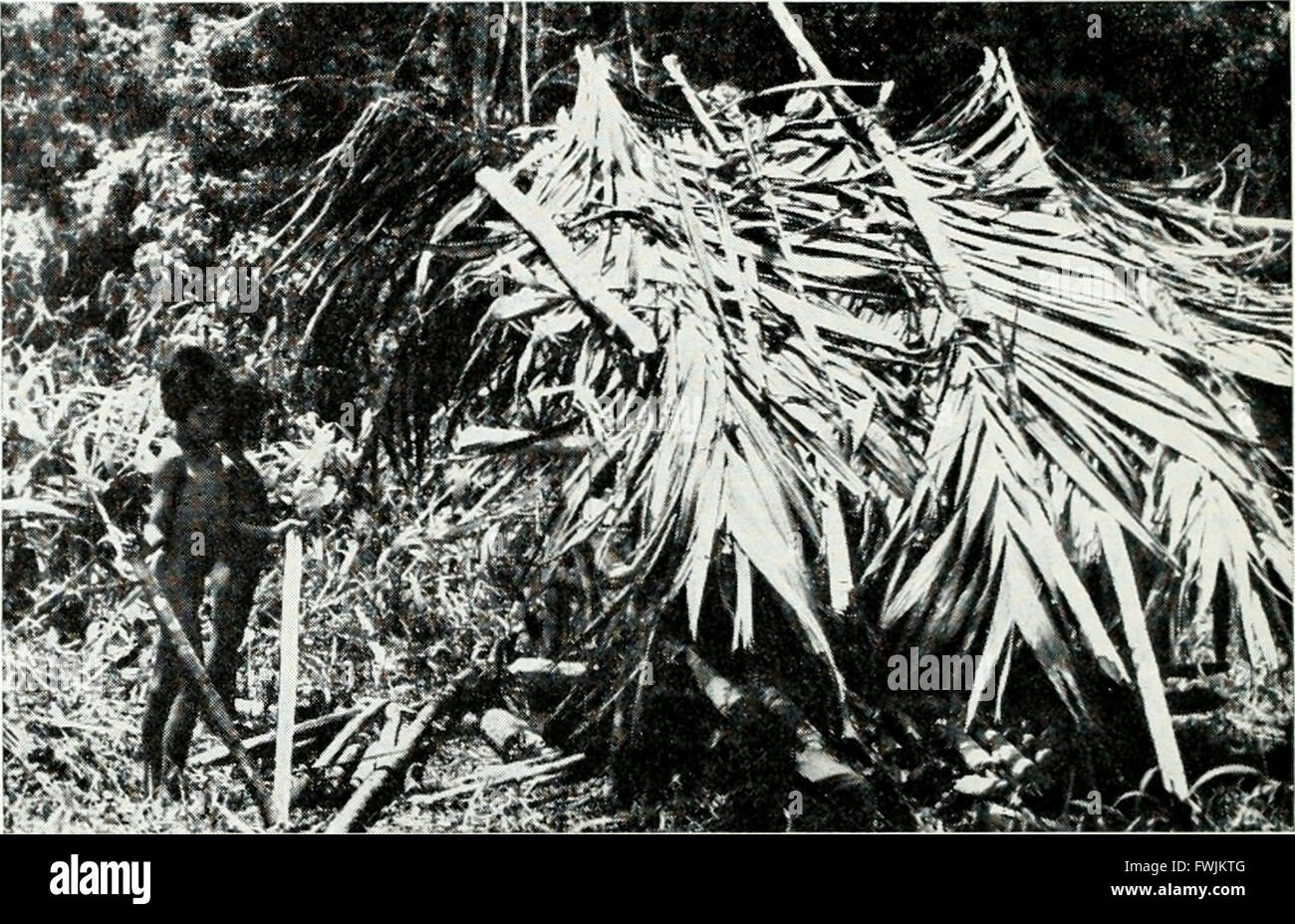 The *Bulletin* (1966-1972) is a periodical publication that documented ...