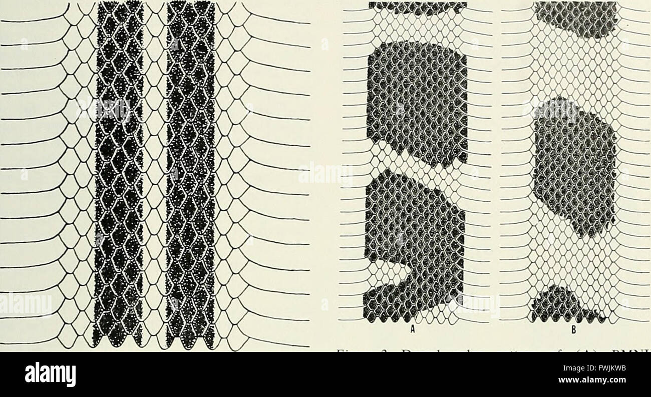 1971 updates hi-res stock photography and images - Alamy