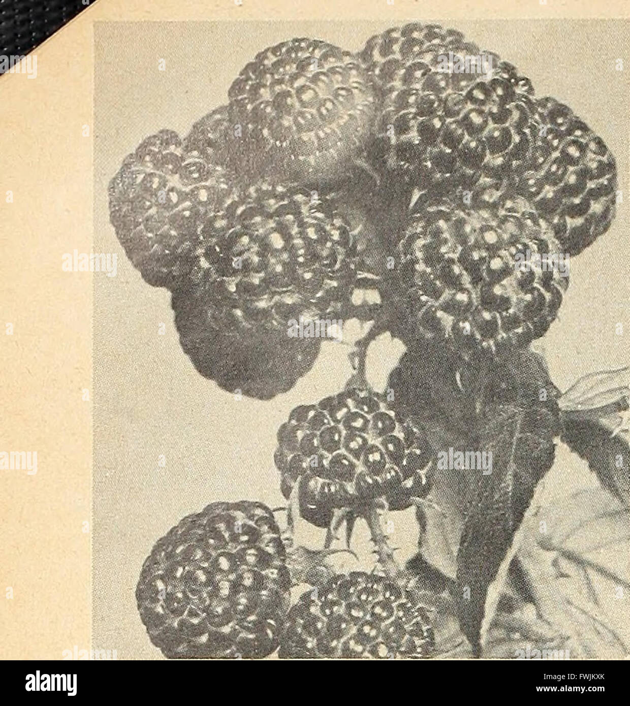 Benton county map hi-res stock photography and images - Alamy