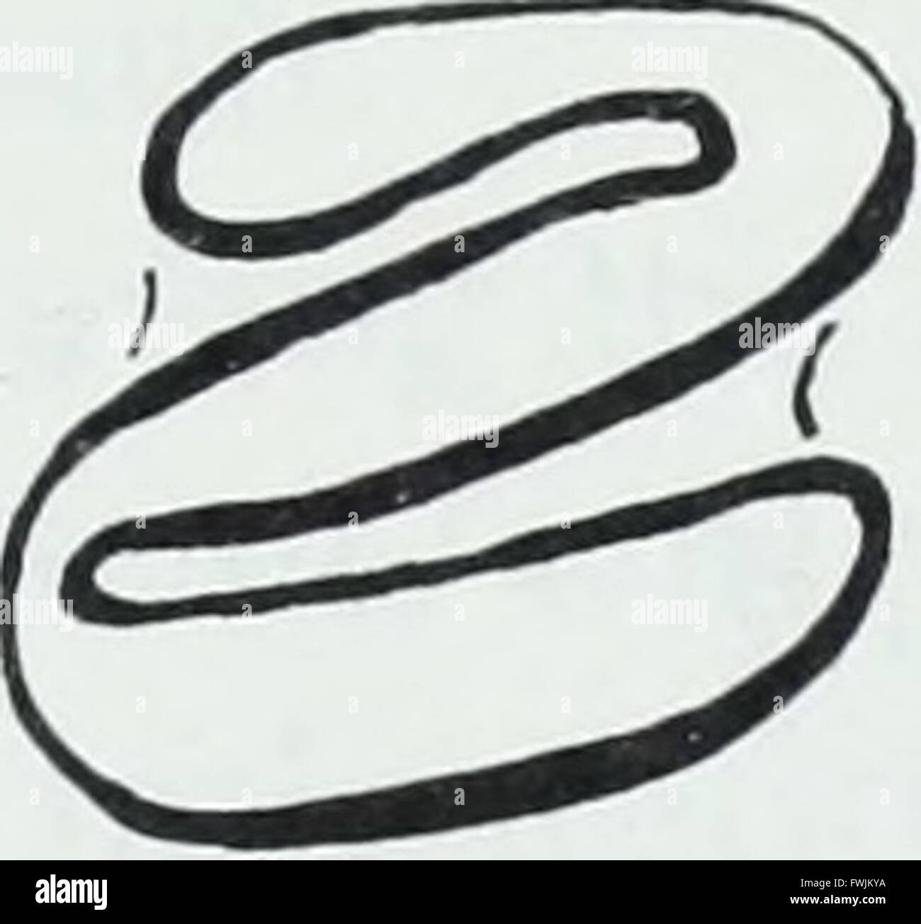 A scientific bulletin from 1999 covering a range of topics, including ...