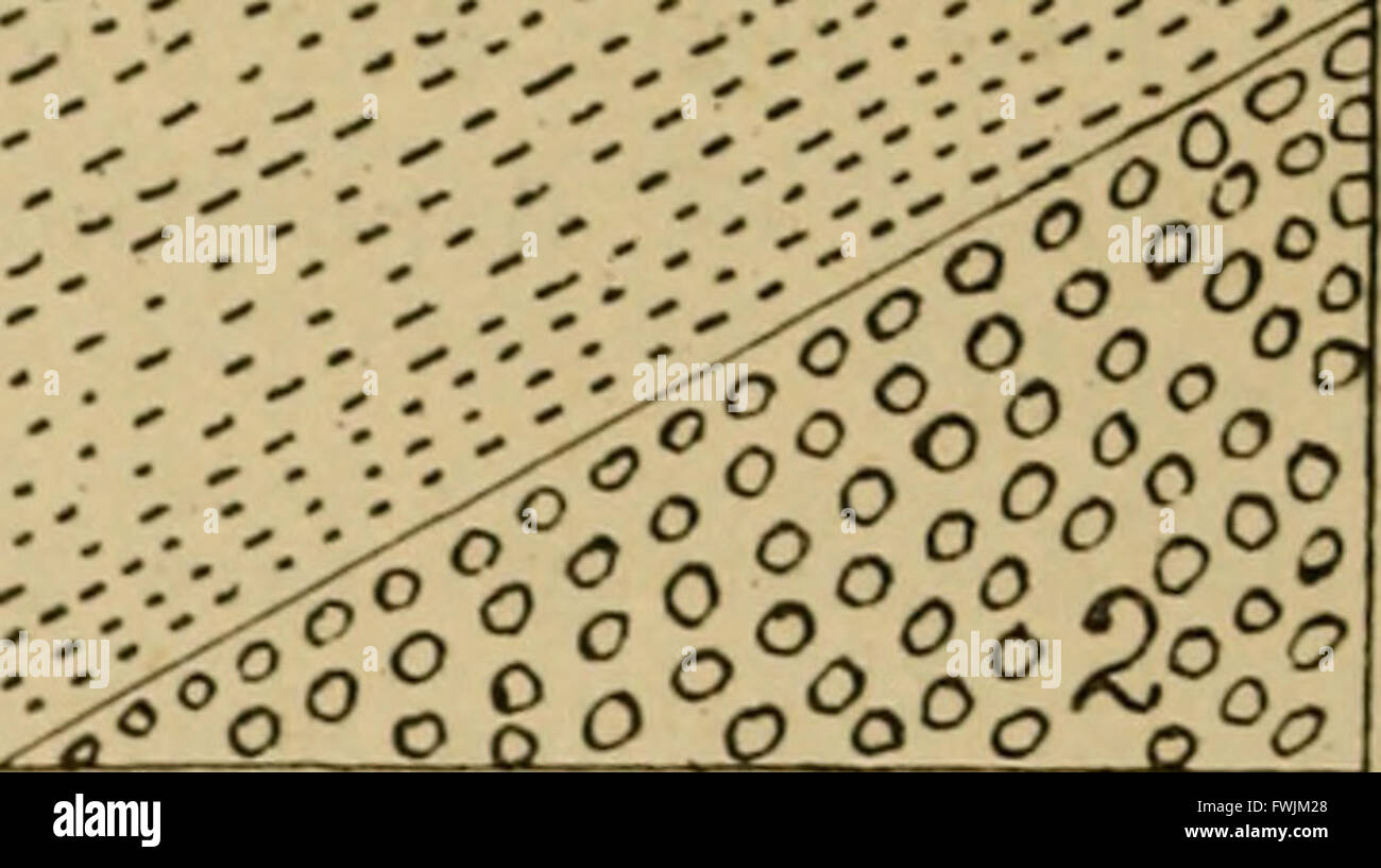 Bulletin new york state hi-res stock photography and images - Alamy