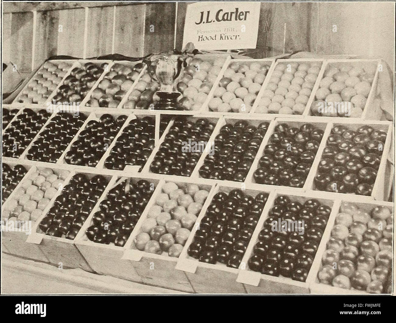 Better Fruit is a publication focused on advancements in fruit ...