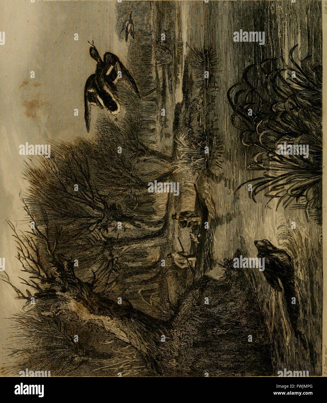 The 1839 edition of the American Turf Register and Sporting Magazine ...