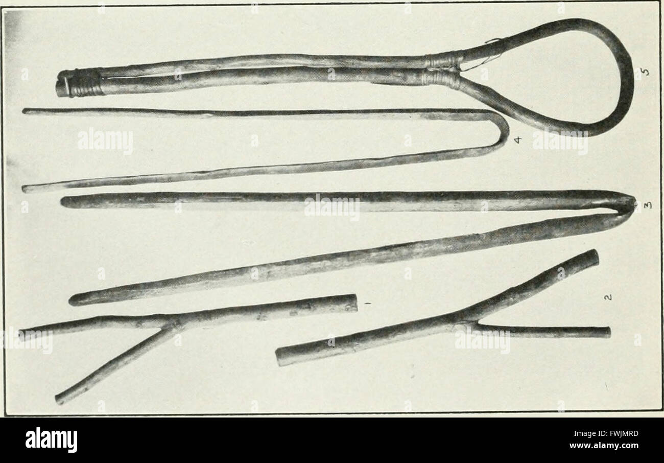 This 1926 bulletin from the United States National Museum provides ...