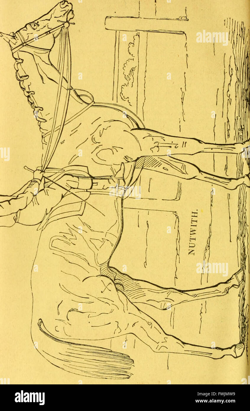 The 1843 edition of the American Turf Register and Sporting Magazine ...