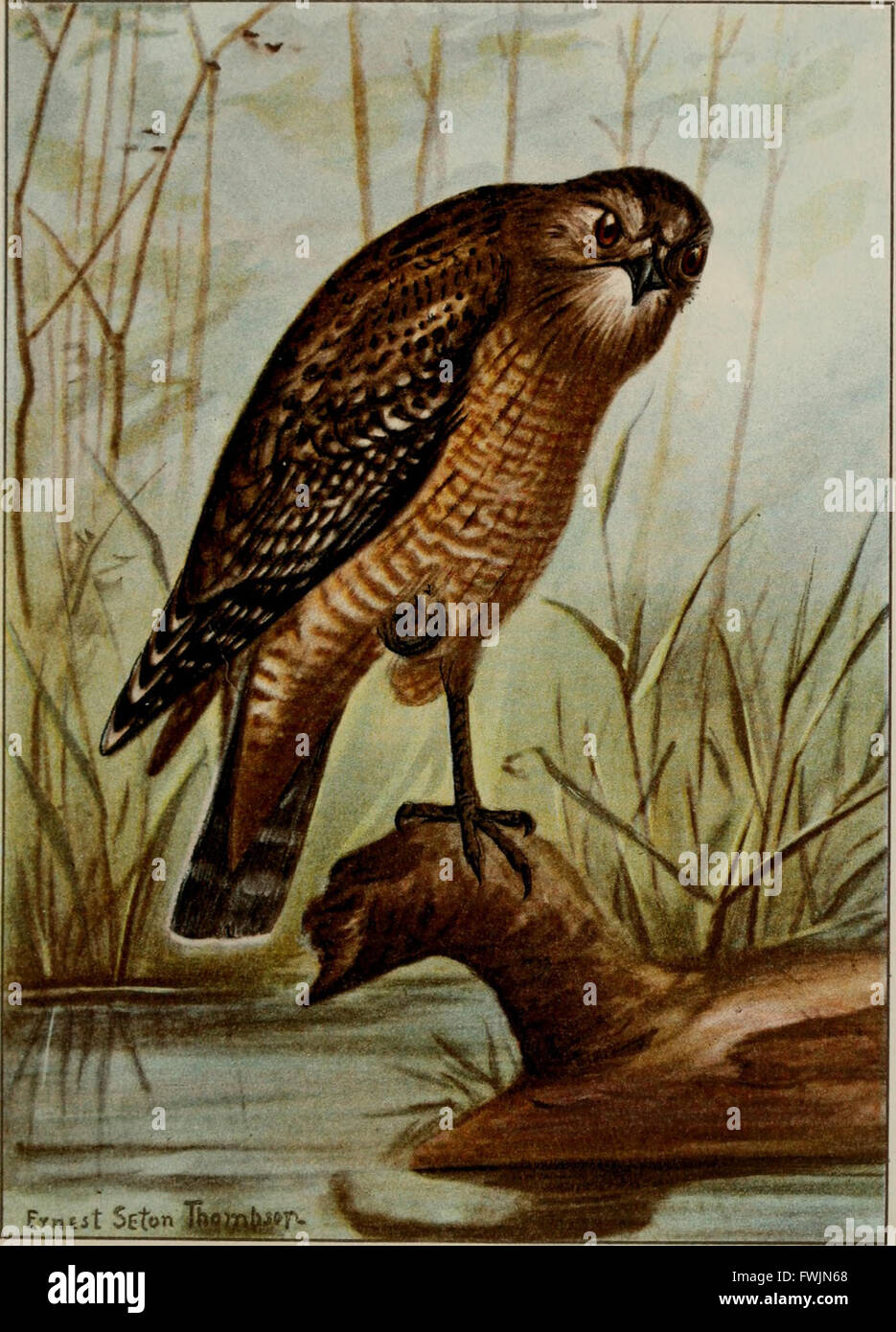 This 1898 guide provides a comprehensive introduction to the study of ...