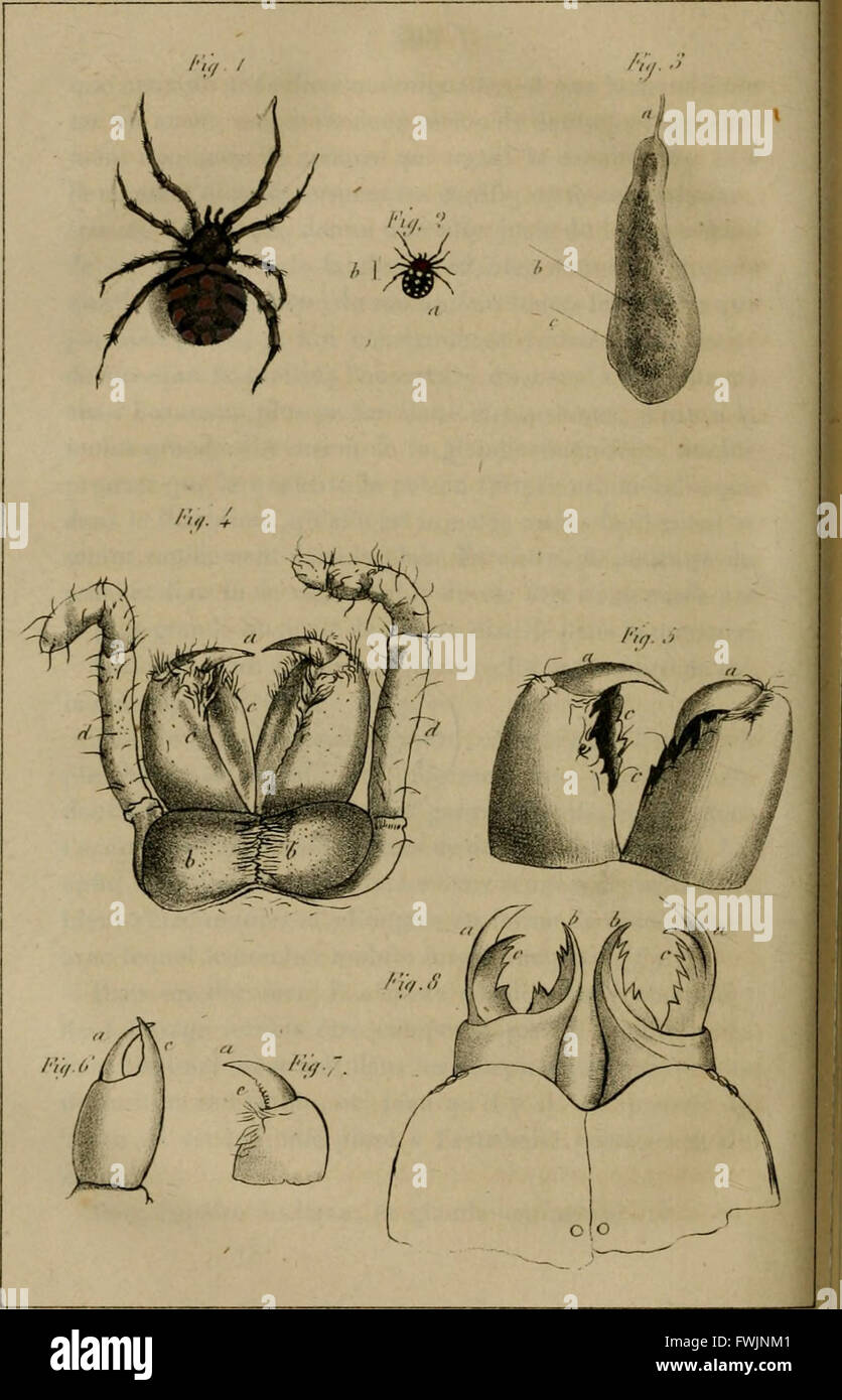 A scholarly journal published by the Royal Academy of Sciences, Letters ...
