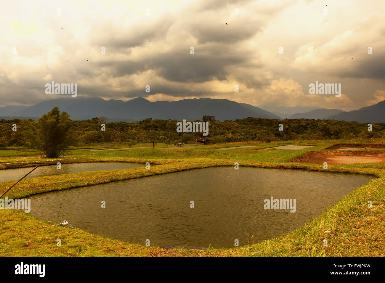 Fish Hatchery Is A Place For Artificial Breeding, Hatching And Rearing ...