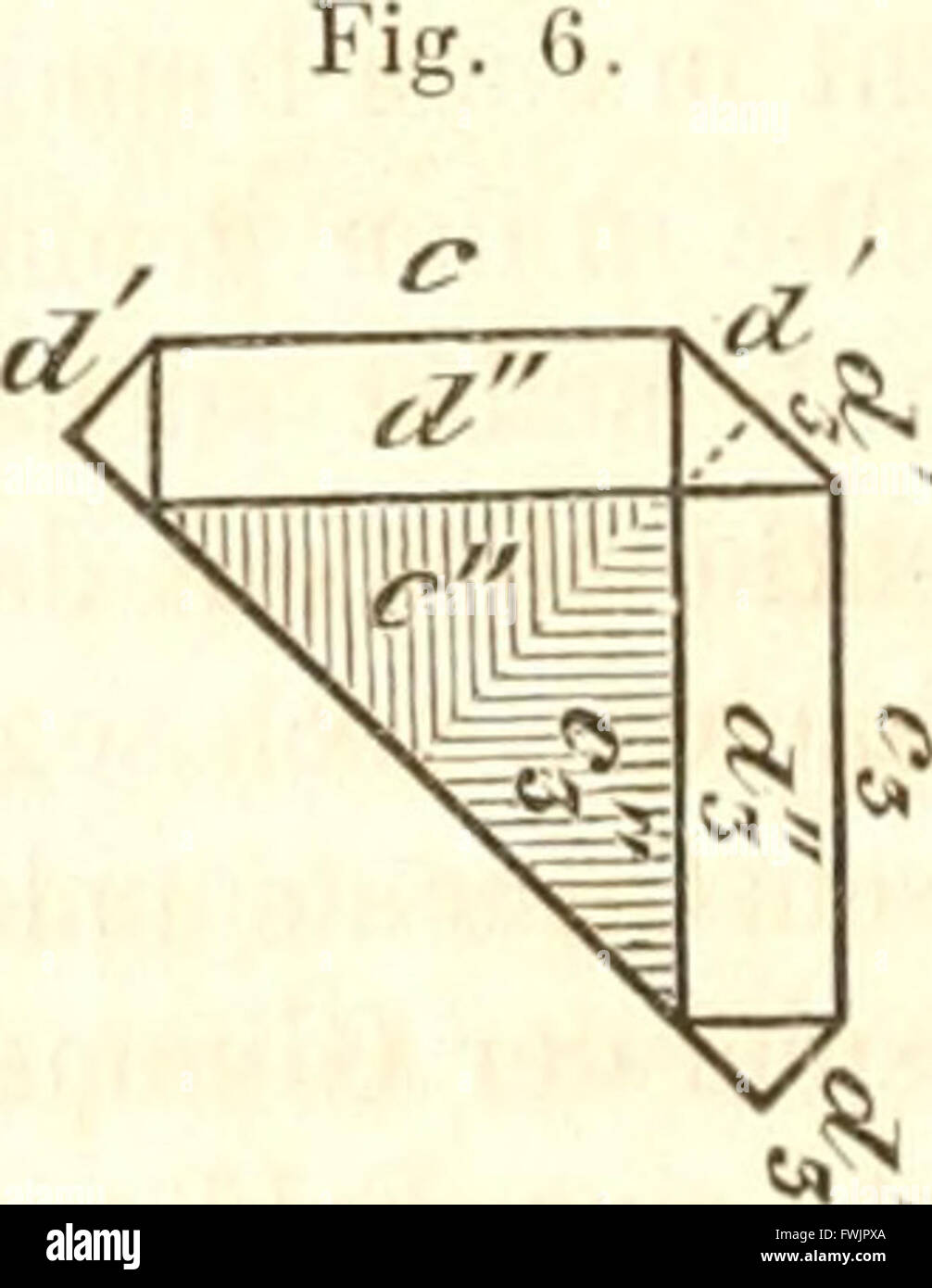 A scholarly publication from the Imperial Academy of Sciences in St ...
