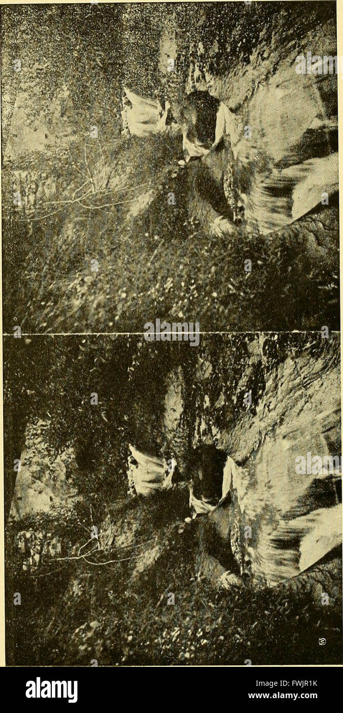 A report from the Société Fribourgeoise des Sciences Naturelles ...