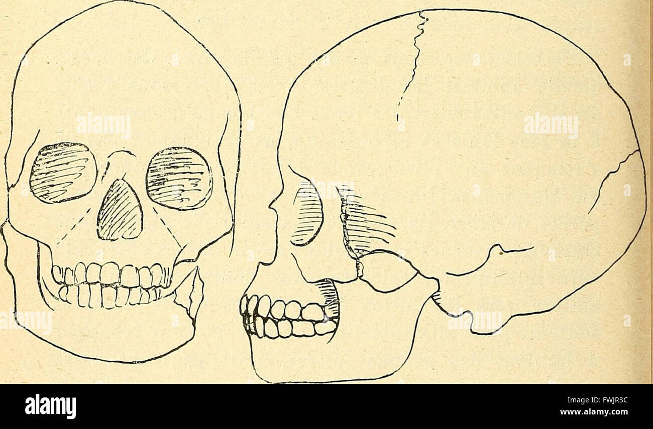 The Bulletin of the Société Fribourgeoise des Sciences Naturelles ...
