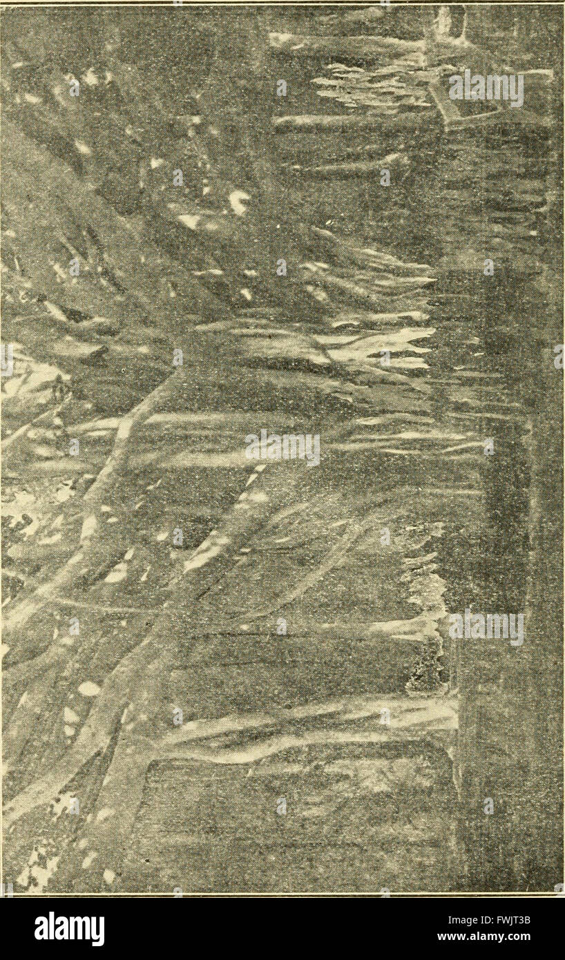 Song poems hi-res stock photography and images - Alamy