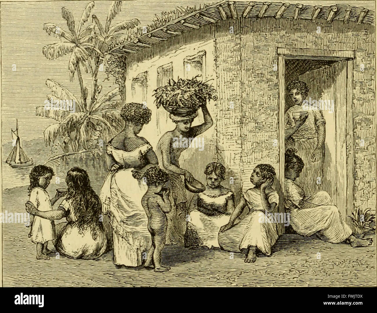This work provides an exploration of Brazil, including the Amazon ...