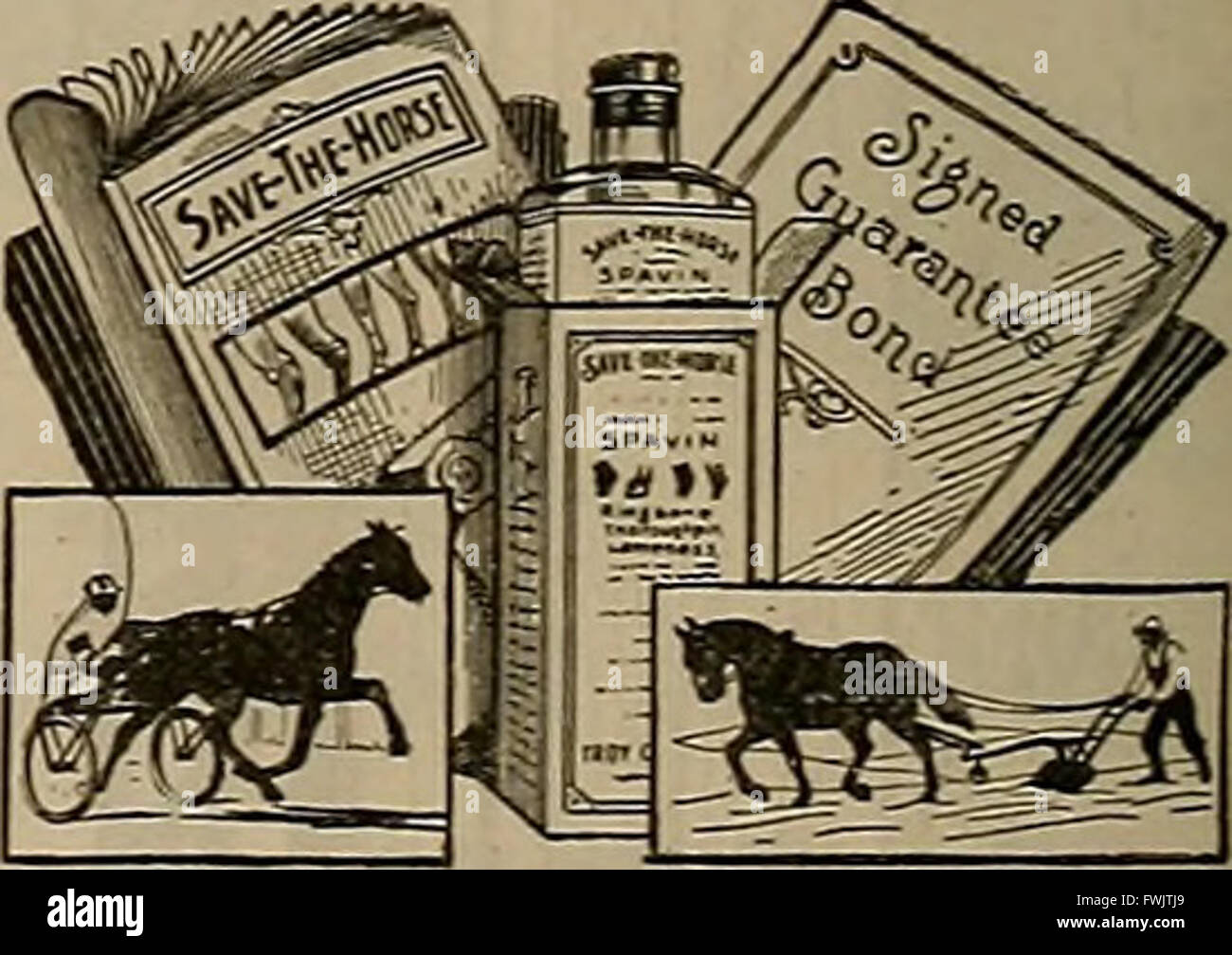 Breeder and sportsman (1916 Stock Photo - Alamy