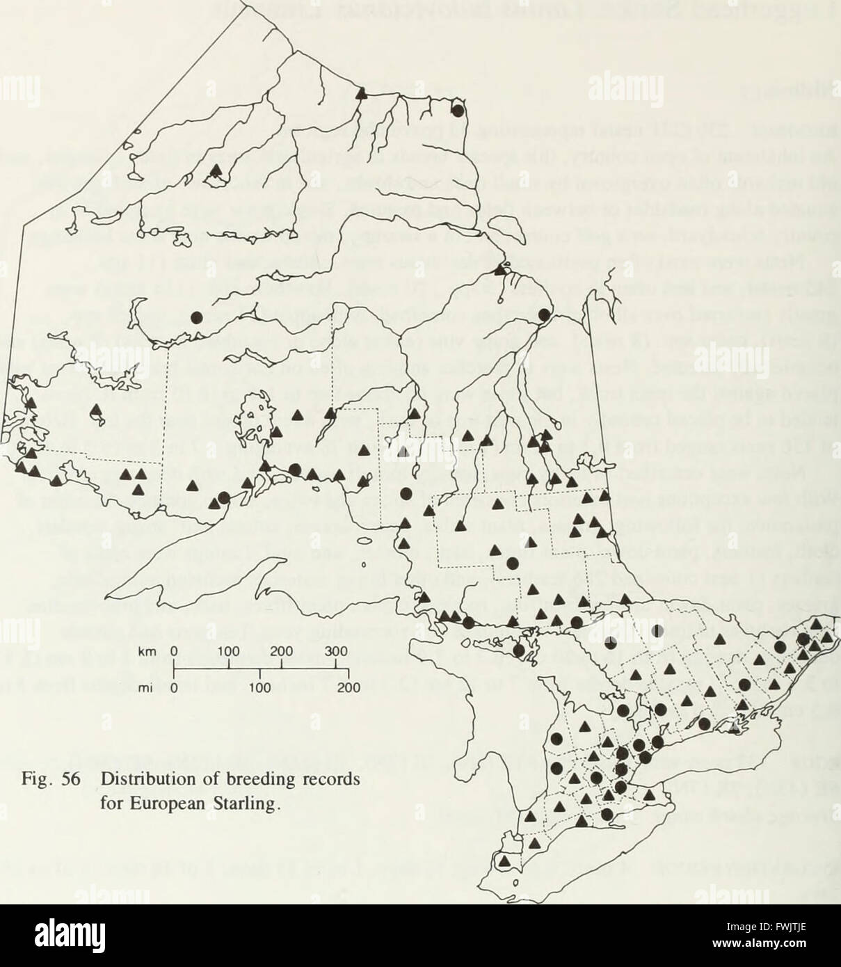 Nidiology hi-res stock photography and images - Alamy