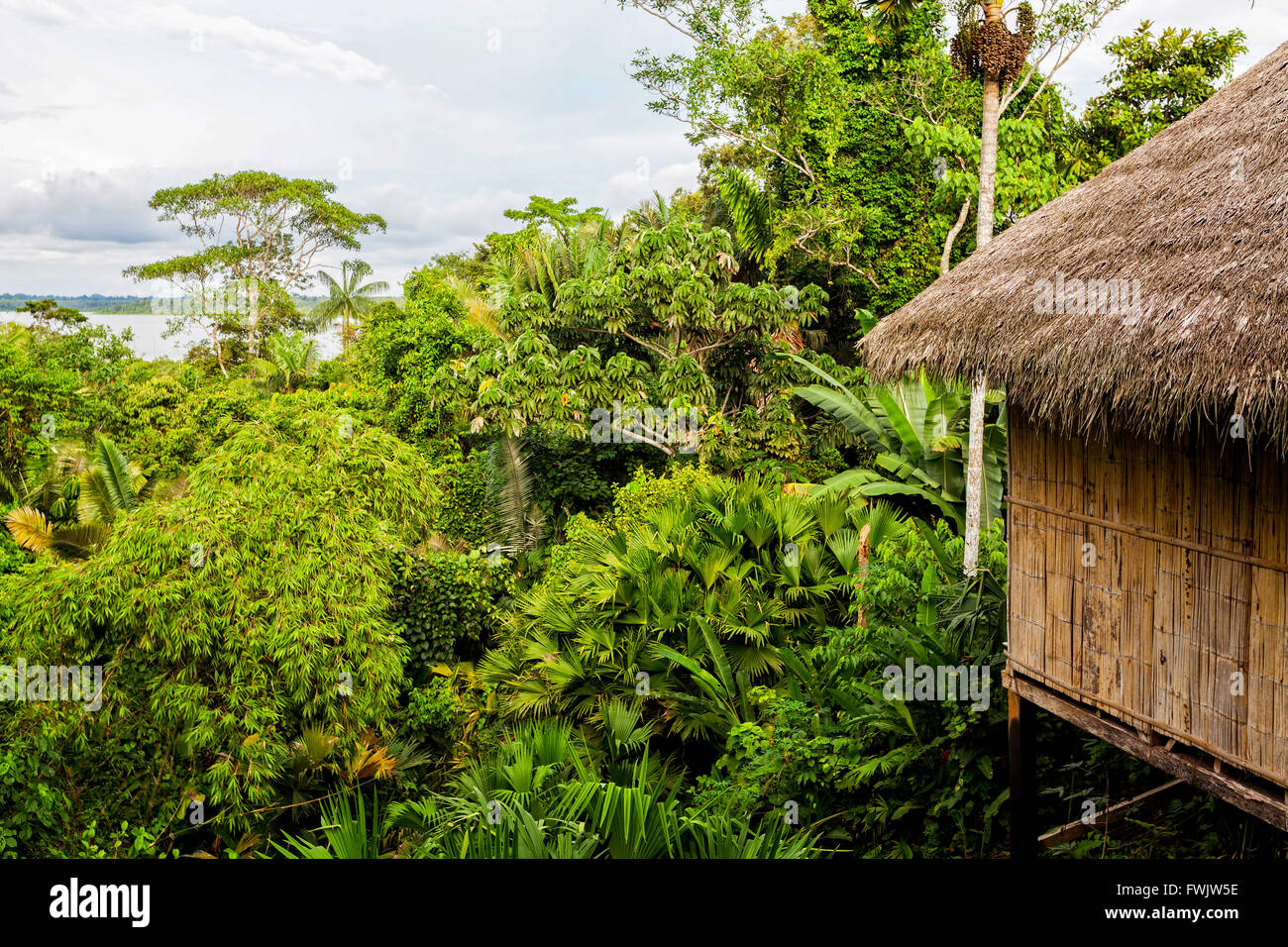 View Of An Eco Loge, Amazon Rainforest, National Park Yasuni, South ...