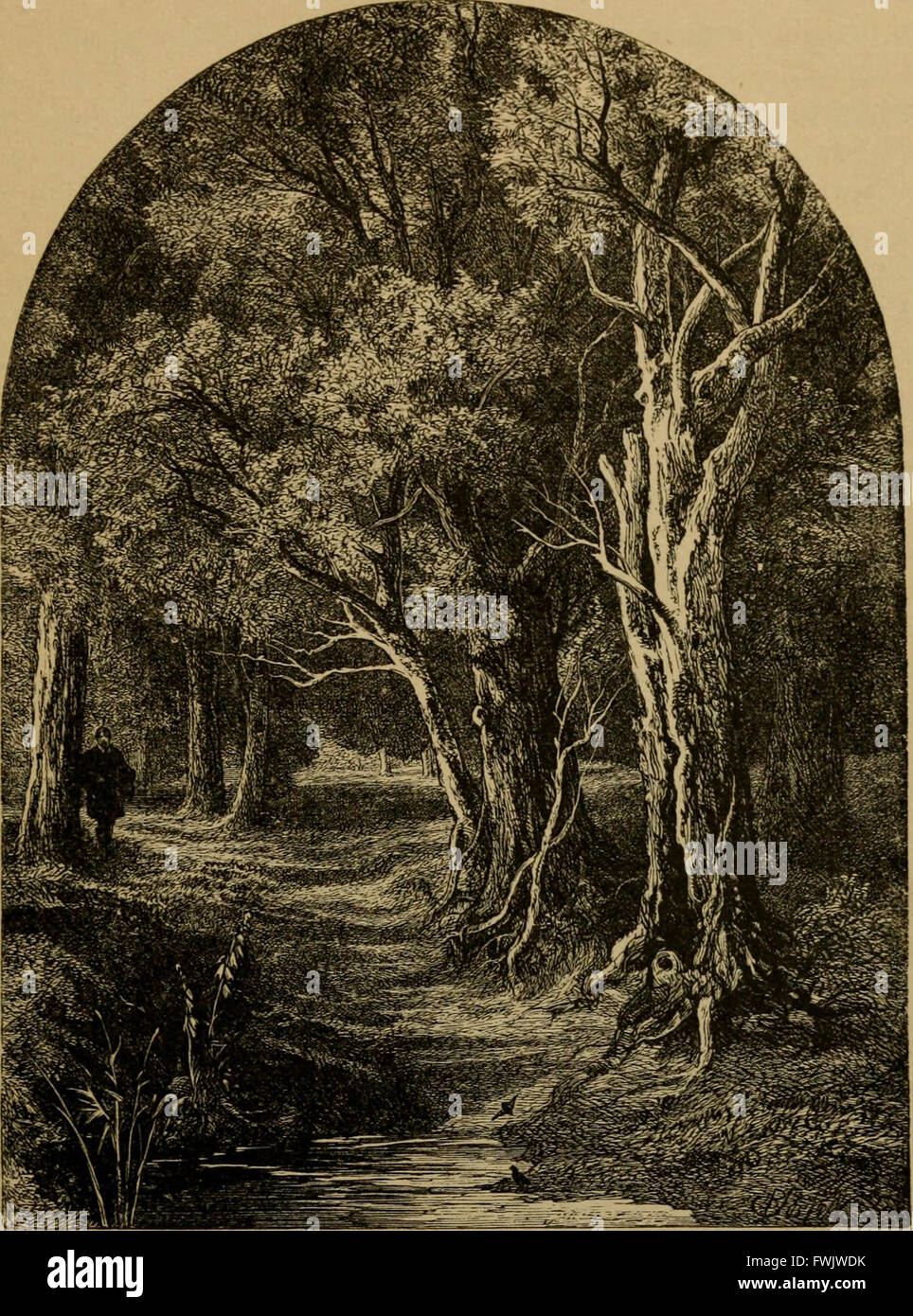 A 1884 collection of poems by American poet William Cullen Bryant ...
