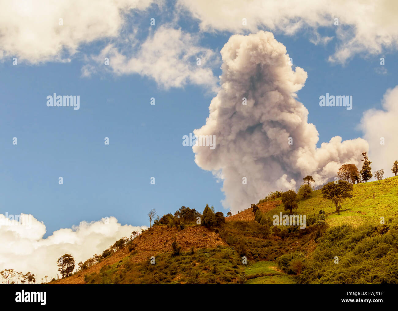 Evacuation Day Stock Photos & Evacuation Day Stock Images - Alamy